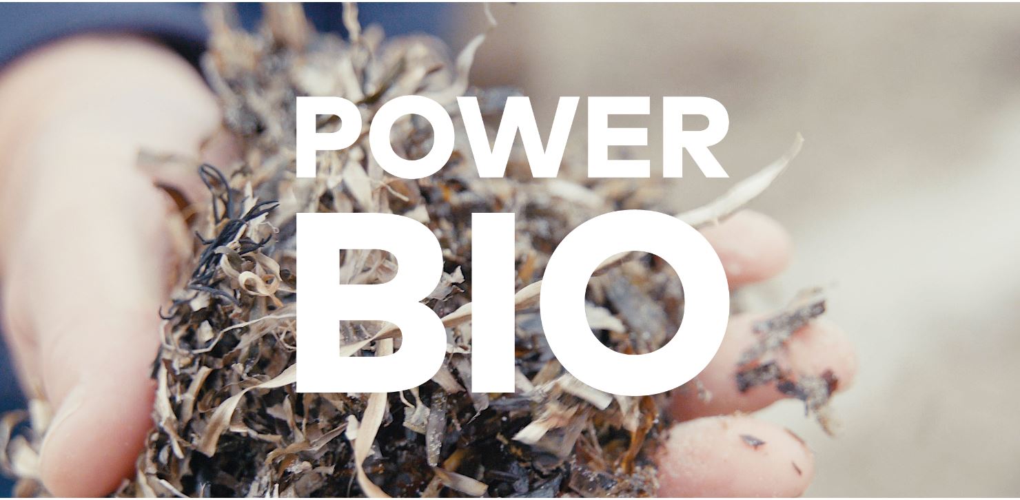 Power Bio - DTU Engineering Technology